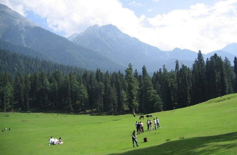 From Srinagar: Sonmarg Day Trip - Key Points