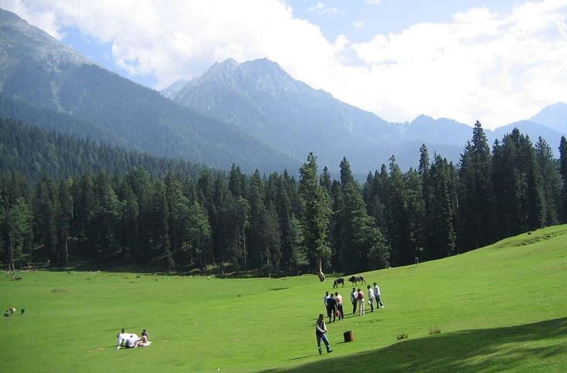 From Srinagar: Sonmarg Day Trip - Key Points