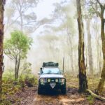 From Sydney: 2-Day Blue Mountains Camping 4WD & River Cruise - What Makes This Tour Worth Considering?