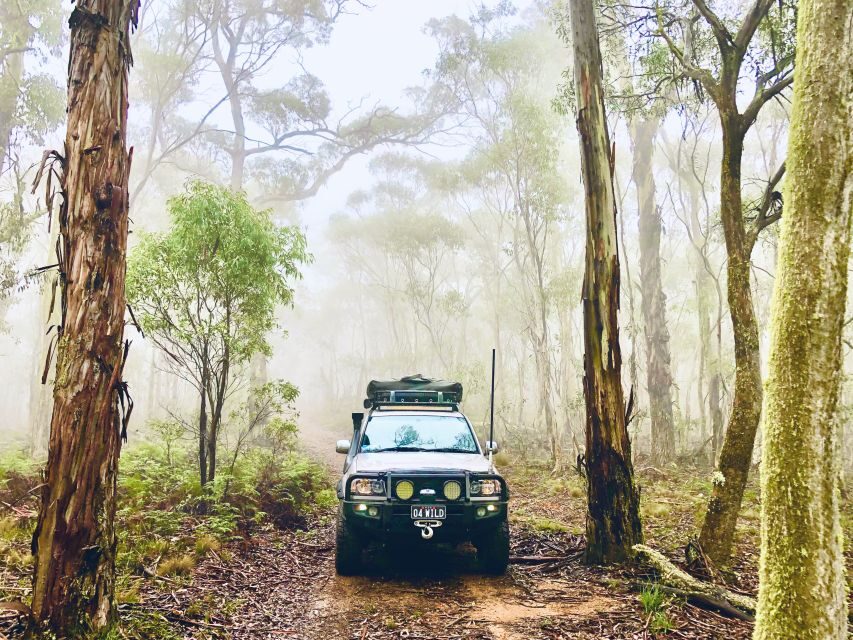 From Sydney: 2-Day Blue Mountains Camping 4WD & River Cruise - What Makes This Tour Worth Considering?
