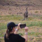From Sydney: Australian Wildlife Safari with Lunch & Dinner - The Sum Up