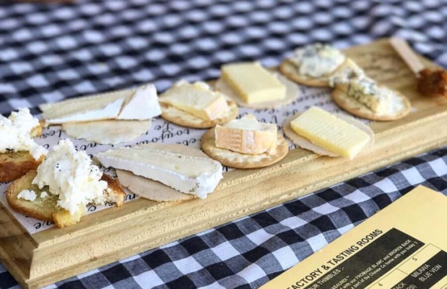 From Sydney: Award-Winning Hunter Valley Wine & Cheese Tour - In-Depth Breakdown of the Itinerary