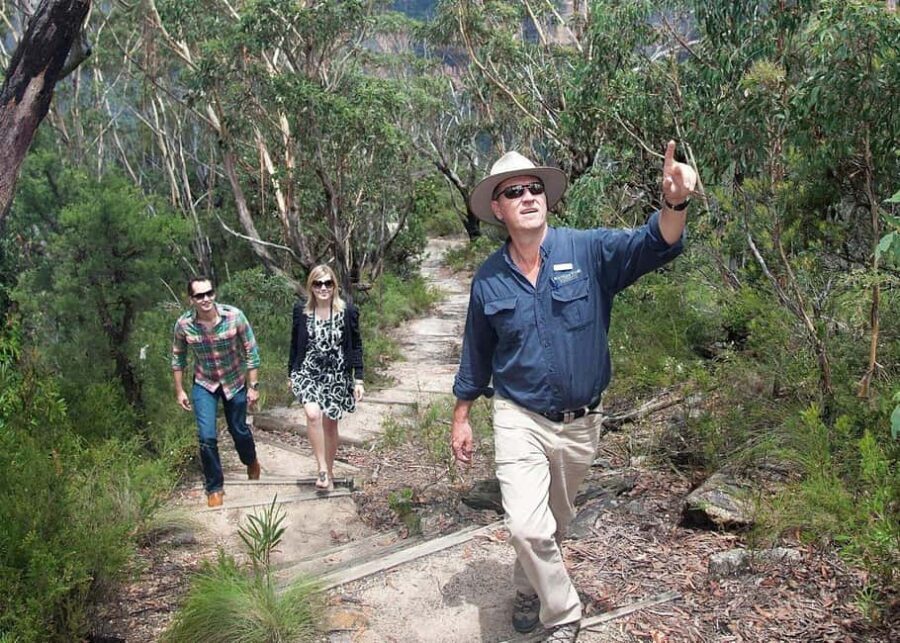 From Sydney: Blue Mountains Bushwalks & Featherdale Tour - What Reviewers Say About the Tour
