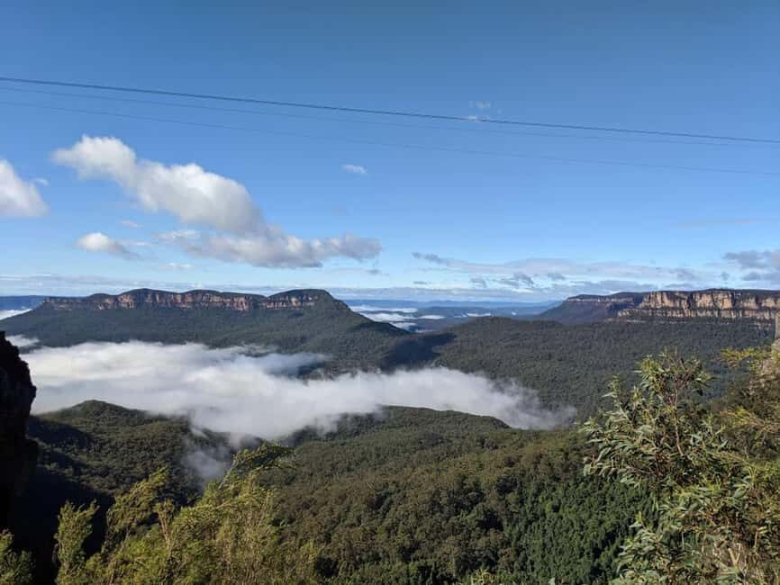 From Sydney: Blue Mountains Private Tour with Wildlife Park - Who Will Love This Tour?