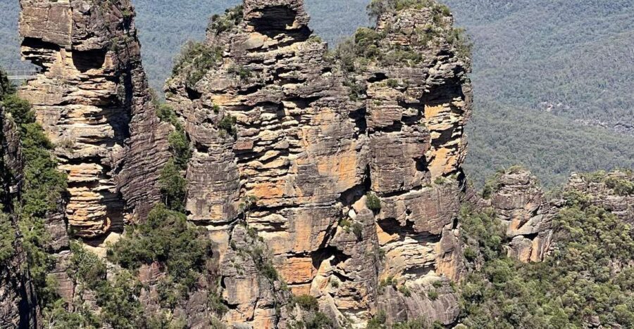 From Sydney: Blue Moutains and Featherdale Day Tour - The Value of This Tour