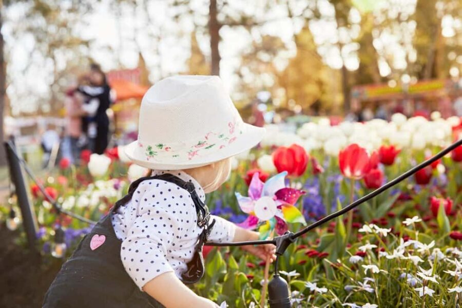 From Sydney: Canberra Floriade Festival Includes Lunch - The Experience from Reviews