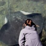 From Sydney: Day Tour to Jervis Bay with Beaches and Koalas - Transport, Group Size, and Value