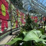 From Sydney: Full Day Tour of Golden Beaches and Ocean Vista - Beach Highlights: Bondi, Tamarama, and Freshwater