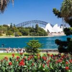 From Sydney: Full Day Tour of Golden Beaches and Ocean Vistas - What You’ll Love About This Tour