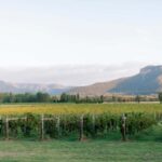 From Sydney: Hunter Valley Boutique Wine Tasting Tour - An In-Depth Look at the Itinerary