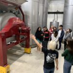 From Sydney: Hunter Valley Multi-Brewery Tour with Lunch - The Experience & Practical Details