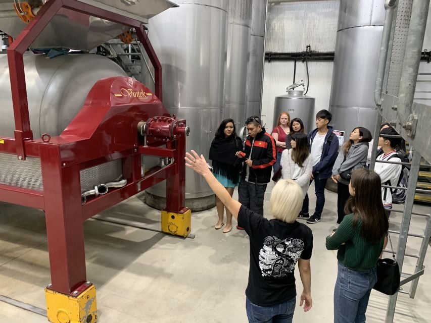 From Sydney: Hunter Valley Multi-Brewery Tour with Lunch - The Experience & Practical Details