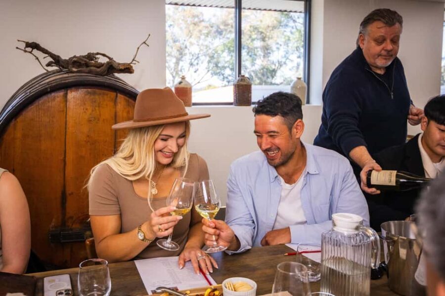 From Sydney: Hunter Valley Wine Tasting Day Tour - Practical Considerations and Value