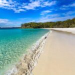 From Sydney: Jervis Bay Day Tour and Dolphin Watching Cruise - Who Will Love This Tour?