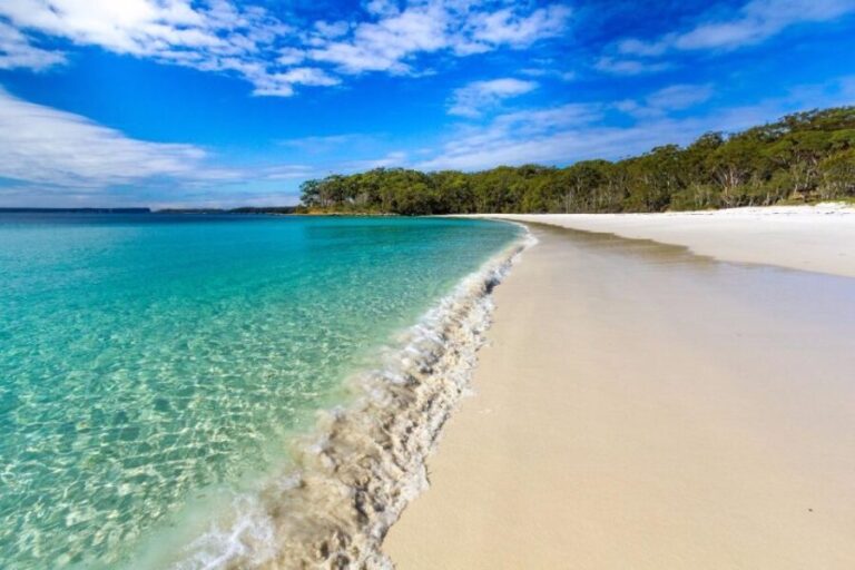 From Sydney: Jervis Bay Day Tour and Dolphin Watching Cruise - Who Will Love This Tour?