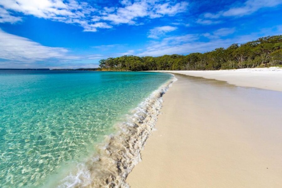 From Sydney: Jervis Bay Day Tour and Dolphin Watching Cruise - Who Will Love This Tour?