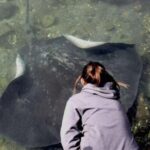From Sydney: Jervis Bay Tour with Beach, Koalas & Kangaroos - Transportation, Group Size, and Guide Quality