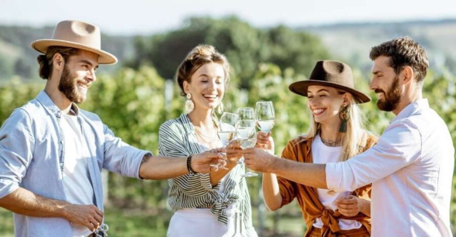 From Sydney: Luxury Hunter Valley Private Tour - What to Expect During the Day