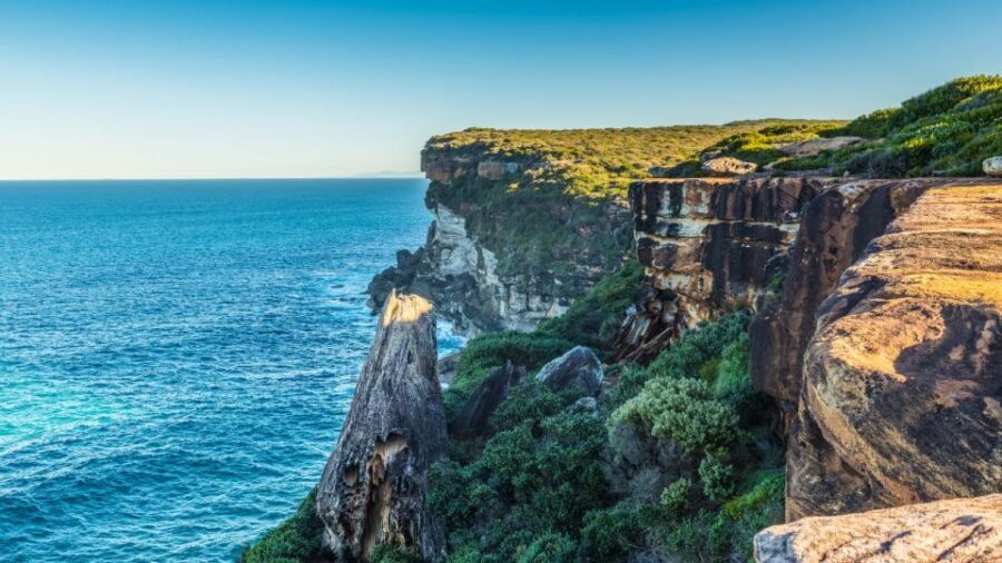 From Sydney: Royal National Park Private Tour - What Makes This Tour Stand Out