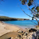 From Sydney: Royal National Park, Wollongong, and Kiama Tour - Royal National Park: A Breath-Taking Start