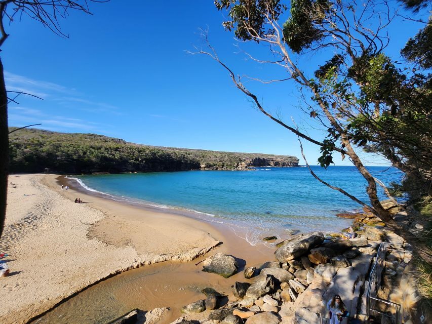 From Sydney: Royal National Park, Wollongong, and Kiama Tour - Royal National Park: A Breath-Taking Start