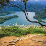 From Taipei: Thousand-Island Lake & Tea Museum Private Tour - Tea Tasting: Flavorful Moments