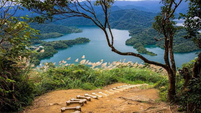 From Taipei: Thousand-Island Lake & Tea Museum Private Tour - Tea Tasting: Flavorful Moments