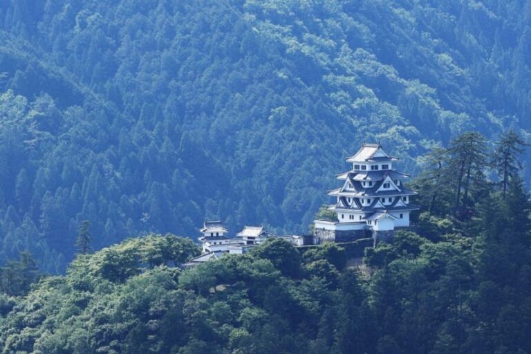 From Takayama: Gujo Hachiman -History, Traditions and Crafts - The Experience: What Travelers Are Saying