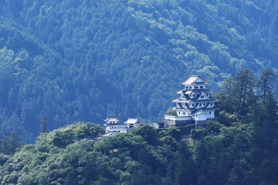 From Takayama: Gujo Hachiman -History, Traditions and Crafts - The Experience: What Travelers Are Saying