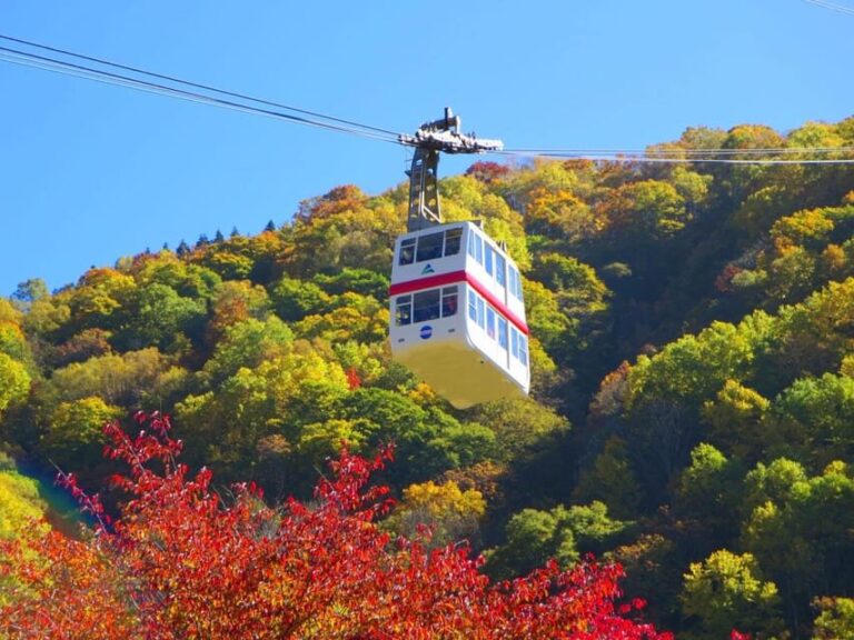 From Takayama: Shinhotaka Ropeway and Kamikochi tour - The Thrills of the Shinhotaka Ropeway