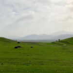 From Tashkent: Tavaksay Waterfall and Canyon Hiking Tour - The Scenic Treasures Along the Route