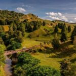 From Taumarunui: The Republic Rail Cart Adventure - What to Expect on the Republic Rail Cart Adventure