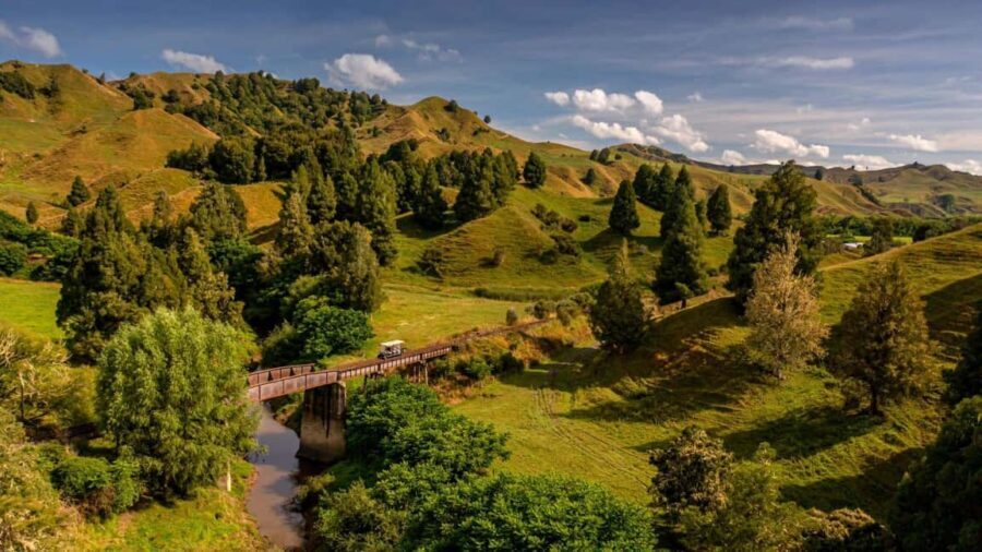 From Taumarunui: The Republic Rail Cart Adventure - What to Expect on the Republic Rail Cart Adventure