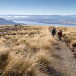 From Te Anau: Full Day Kepler Track Guided Heli-Hike - An In-Depth Look at the Kepler Track Guided Heli-Hike
