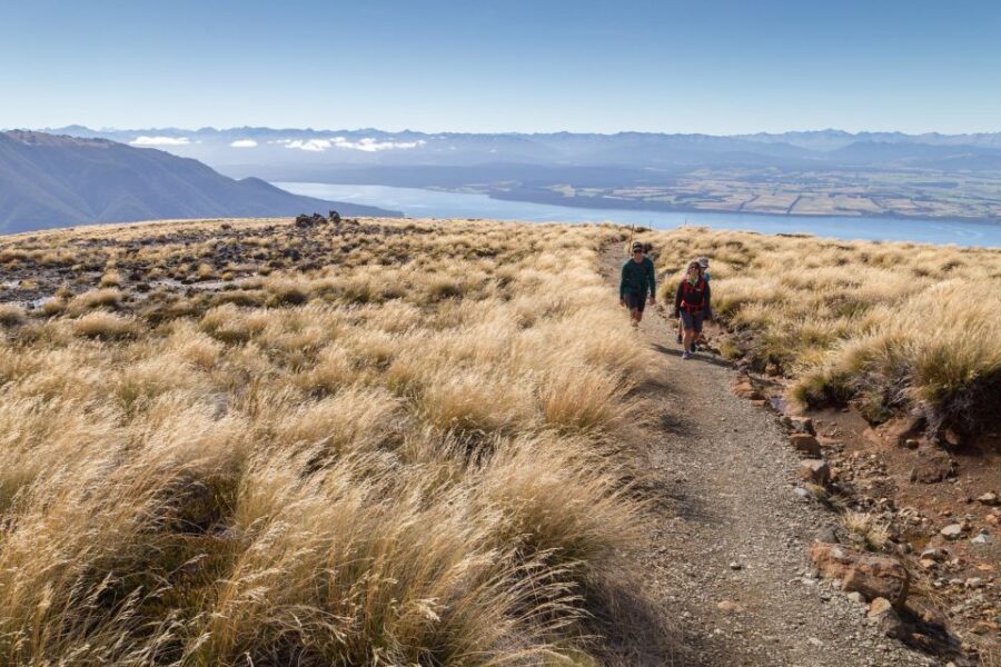 From Te Anau: Full Day Kepler Track Guided Heli-Hike - An In-Depth Look at the Kepler Track Guided Heli-Hike