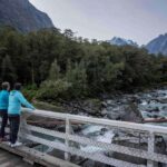 From Te Anau: Milford Sound Coach, Cruise, and Walks - The Walks and Scenic Spots in Fiordland