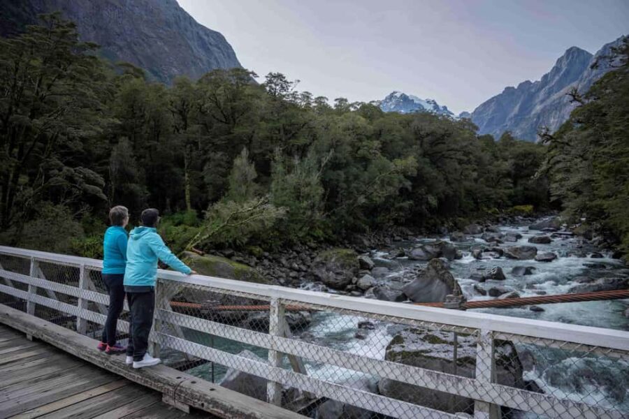 From Te Anau: Milford Sound Coach, Cruise, and Walks - The Walks and Scenic Spots in Fiordland