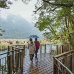 From Te Anau: Milford Sound Coach Tour and Cruise - Practical Tips for Your Trip