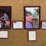 From Teotitlán del Valle - Traditional Cooking Class - Who Will Love This Tour?