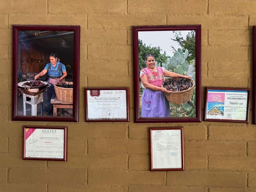 From Teotitlán del Valle - Traditional Cooking Class - Who Will Love This Tour?