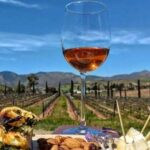 From the Border Valle de Guadalupe Private Wine Tour - The Practical Side: Pricing and Value