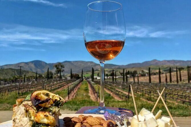 From the Border Valle de Guadalupe Private Wine Tour - The Practical Side: Pricing and Value