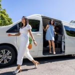 From the Gold Coast Hop on Hop off Bus to Tamborine Mountain - Key Points
