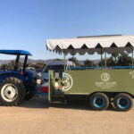From Tijuana: Valle de Guadalupe Private Winery Tour - What Travelers Love—and What to Keep in Mind