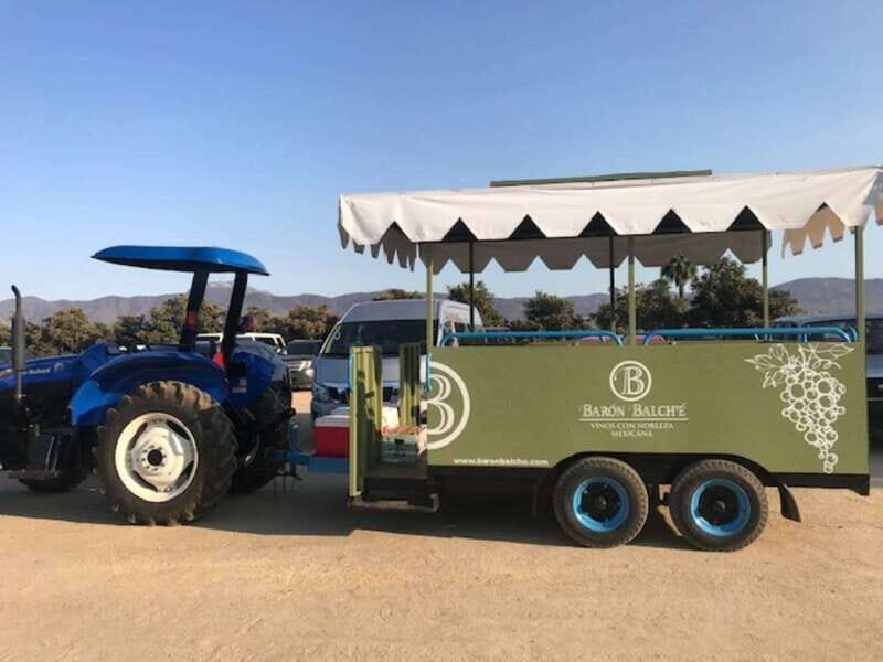 From Tijuana: Valle de Guadalupe Private Winery Tour - What Travelers Love—and What to Keep in Mind