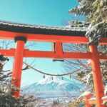 From Tokyo: 1 Full Day Mount fuji Sightseeing Trip - What to Expect: The Realities of a Budget Mount Fuji Tour