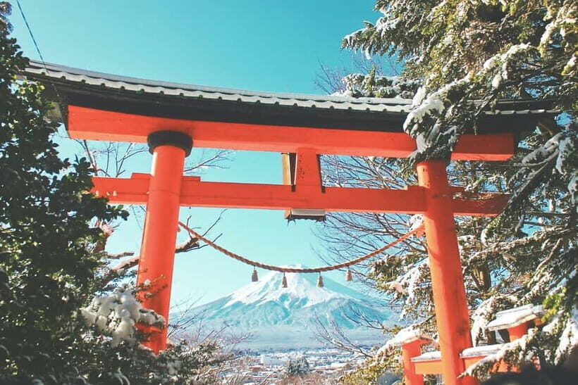 From Tokyo: 1 Full Day Mount fuji Sightseeing Trip - What to Expect: The Realities of a Budget Mount Fuji Tour