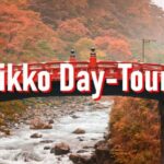 From Tokyo: 10-hour Private Custom Tour to Nikko - The Itinerary: Whats Included and What You Can Expect