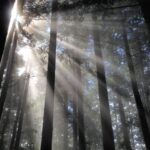 From Tokyo: Chichibu Hiking Day Tour To Mitsumine Shrine - FAQs