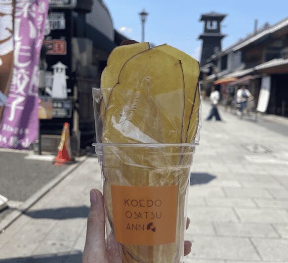 FROM TOKYO - EXPLORE LITTLE EDO & CRAFTS WALKING TOUR - Who Will Love This Tour?